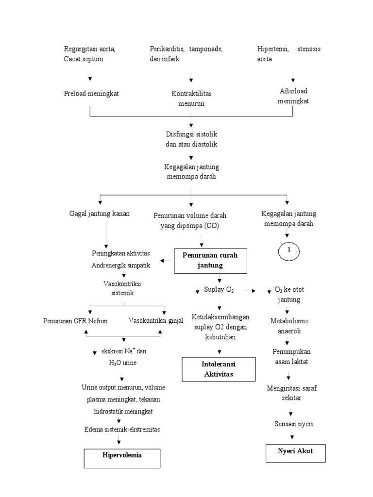 Pathway Adhf Sdki | PDF
