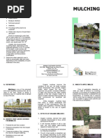 TB 2017-04 - Manual of Operations Prescribing Guidelines On The ...