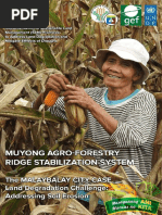 TB 2017-04 - Manual of Operations Prescribing Guidelines On The ...