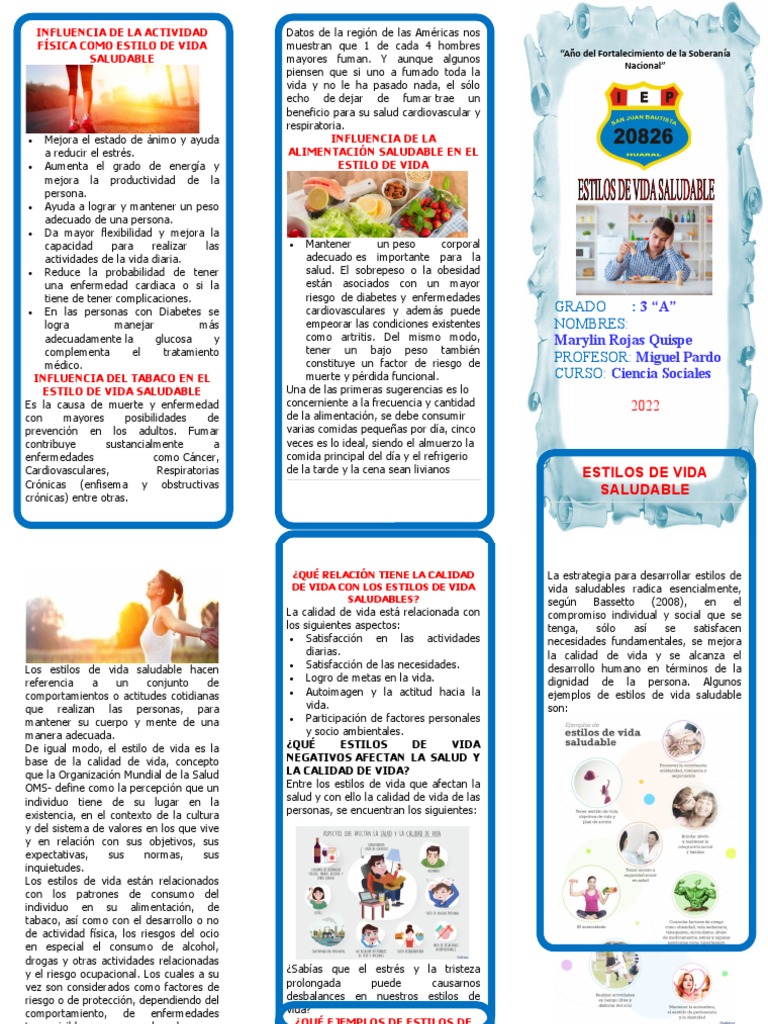 ESTILOS DE VIDA SALUDABLE Triptico | PDF | Enfermedades ...