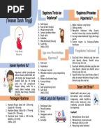 Leaflet Diet Dash | PDF | Kesehatan Holistik