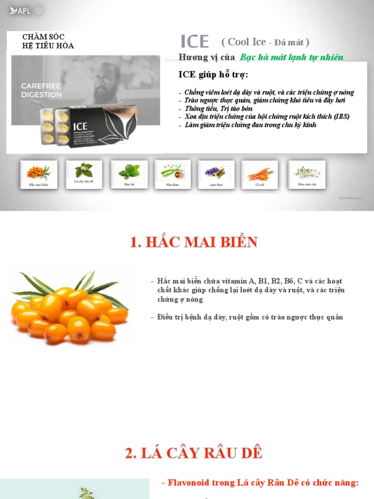 9-ICE - Hệ Tiêu Hoá - Compressed | PDF