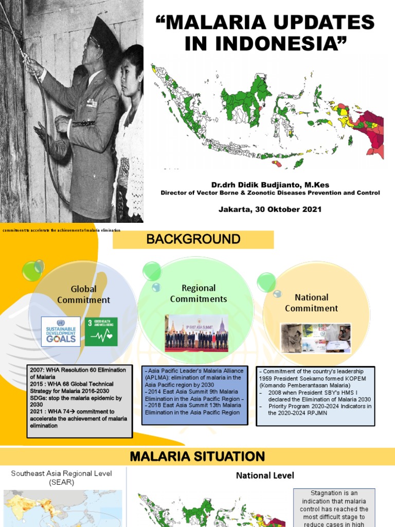 Malaria Updates In Indonesia Kemenkes Download Free Pdf Malaria