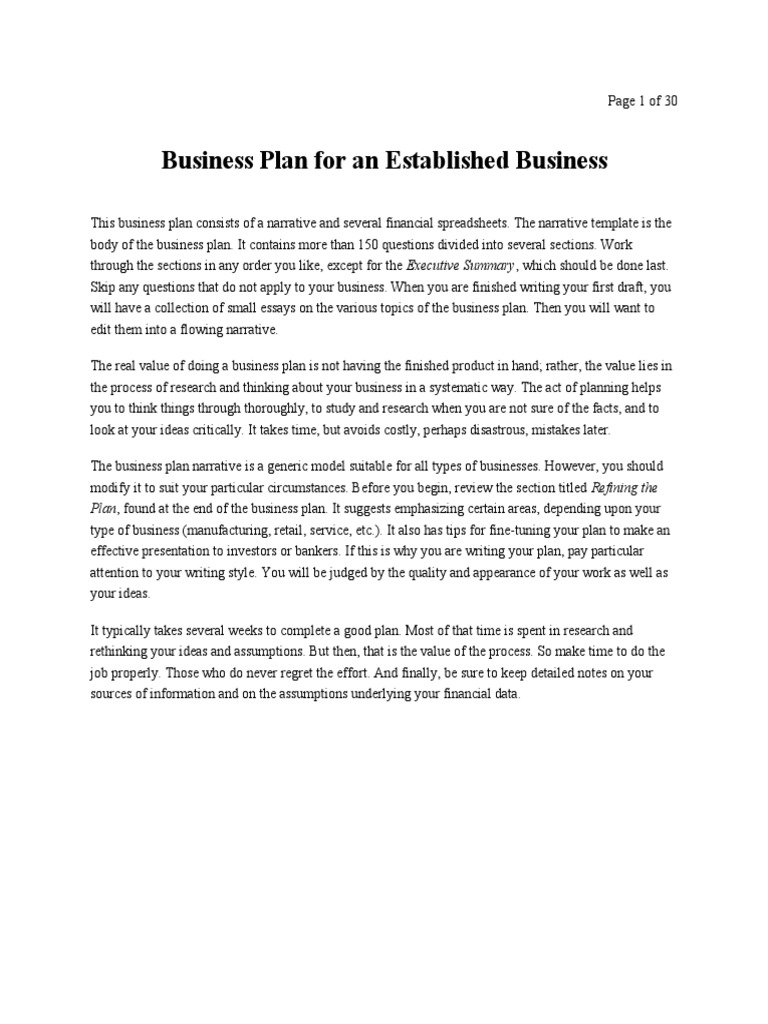 Business-Plan-Template Established 5 | PDF | Marketing | Pricing