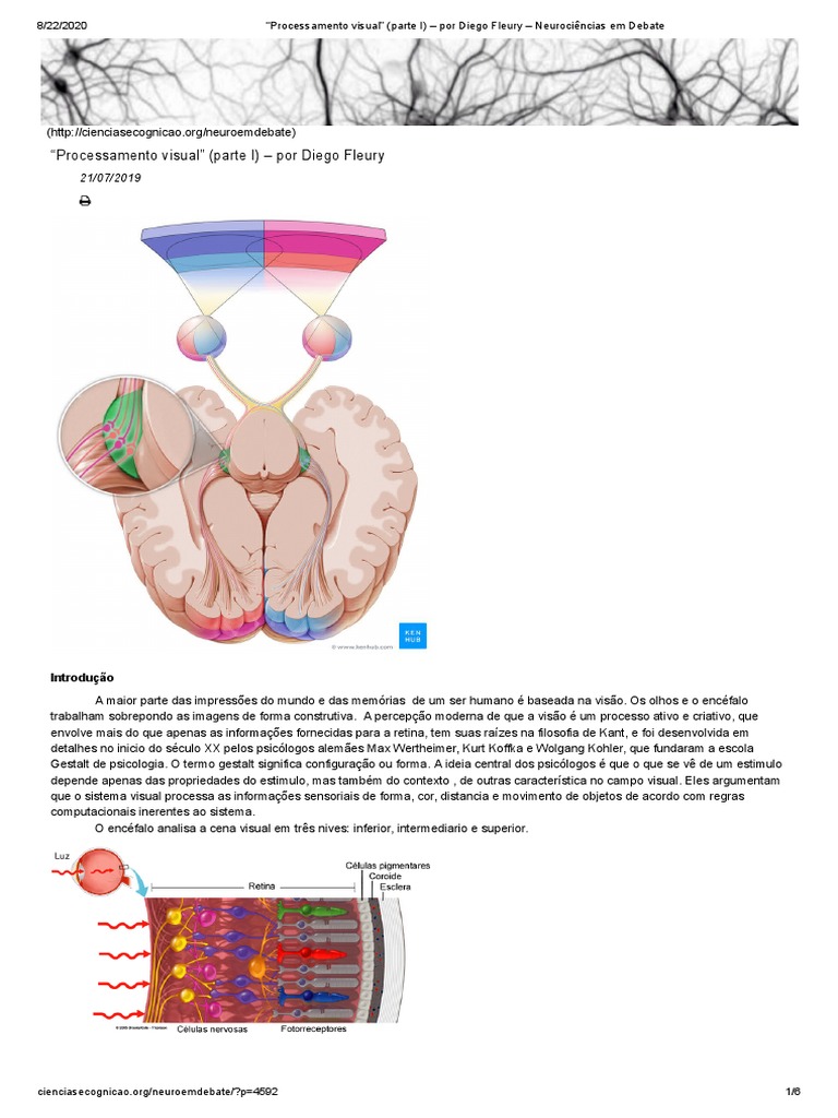 "Processamento Visual" (Parte I) - Por Diego Fleury - Neurociências em Debate | PDF | Sistema ...