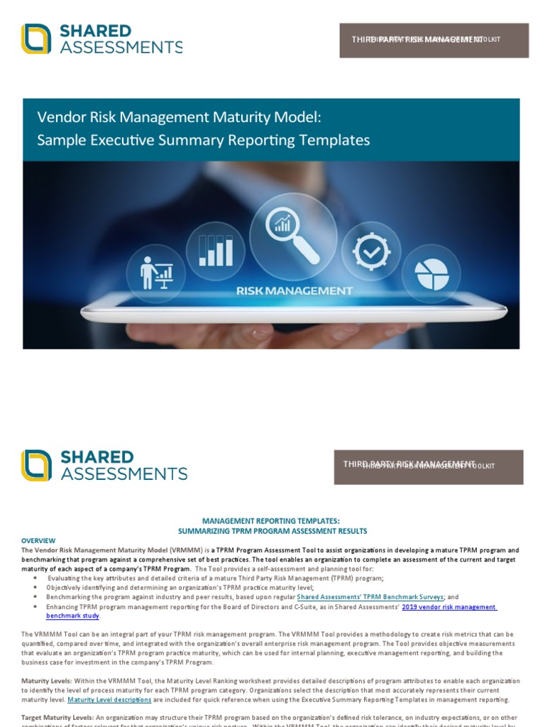 03 SA 2022 VRMMM Executive Summary ReportingTemplate 20220329 | PDF ...