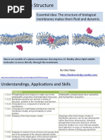 Virtual Microscope by BIONETWORK: Name: - Date | PDF | Microscope ...