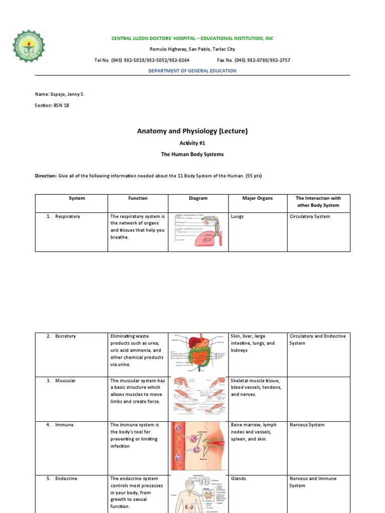 Activity #1 Anatomy and Physiology | PDF | Human Body | Integumentary ...