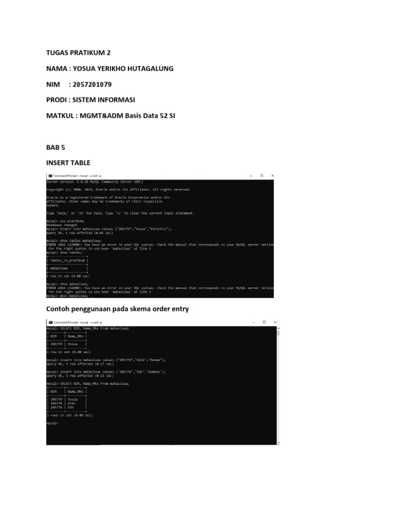 Mengkoneksikan Mysql Menggunakan XAMPP Di CMD | PDF