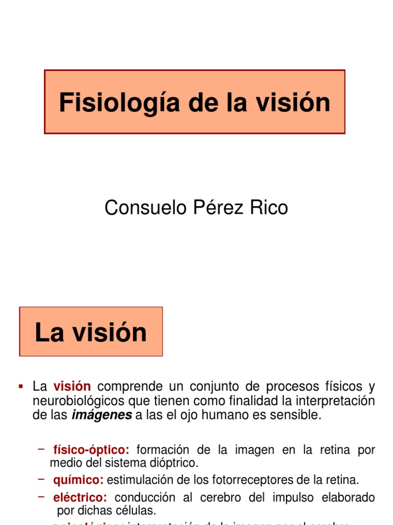 Fisiología de La Visión | PDF | Percepción visual | Retina