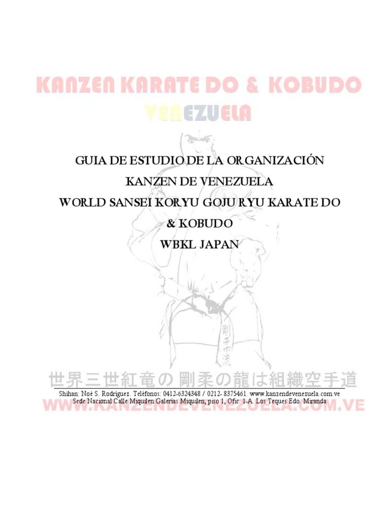 Guia Karate Basico | PDF | Kárate | Combate