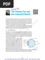 Human Eye | PDF | Eye | Human Eye