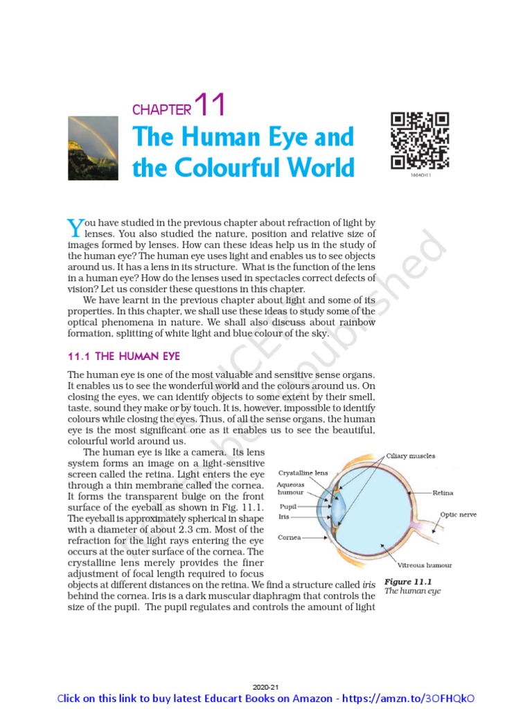 CL X Physics Ch-11 The Human Eye | PDF | Sunset | Eye
