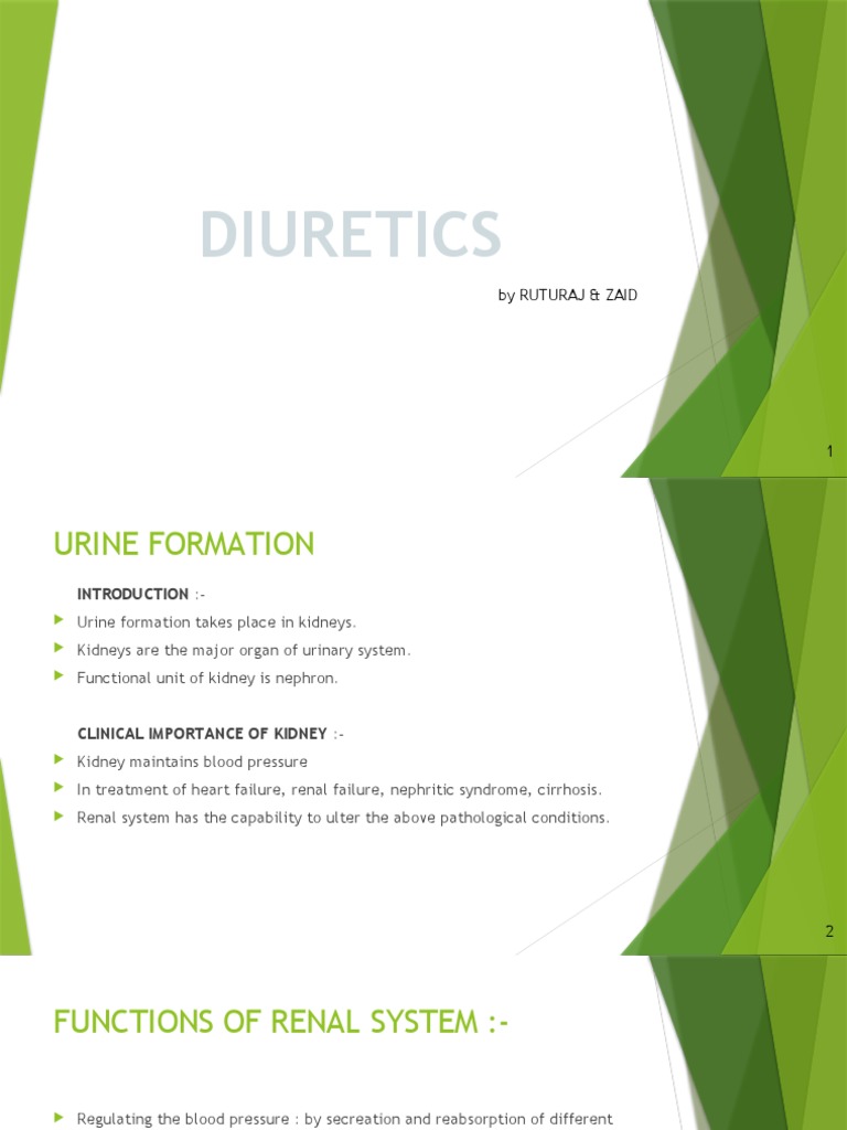 Everything You Need to Know About Diuretics | PDF | Kidney | Urinary System