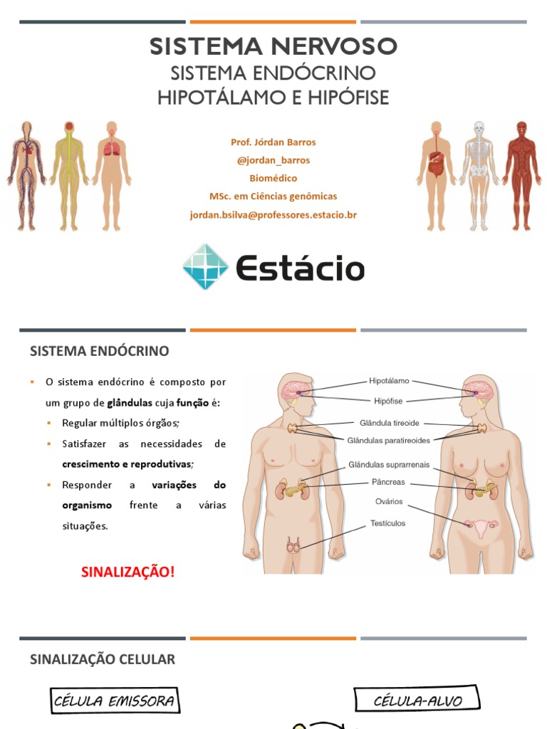Aula - 06 - Sistema - End - Crino - 1 - 6 | PDF | Glândula pituitária | Tireoide