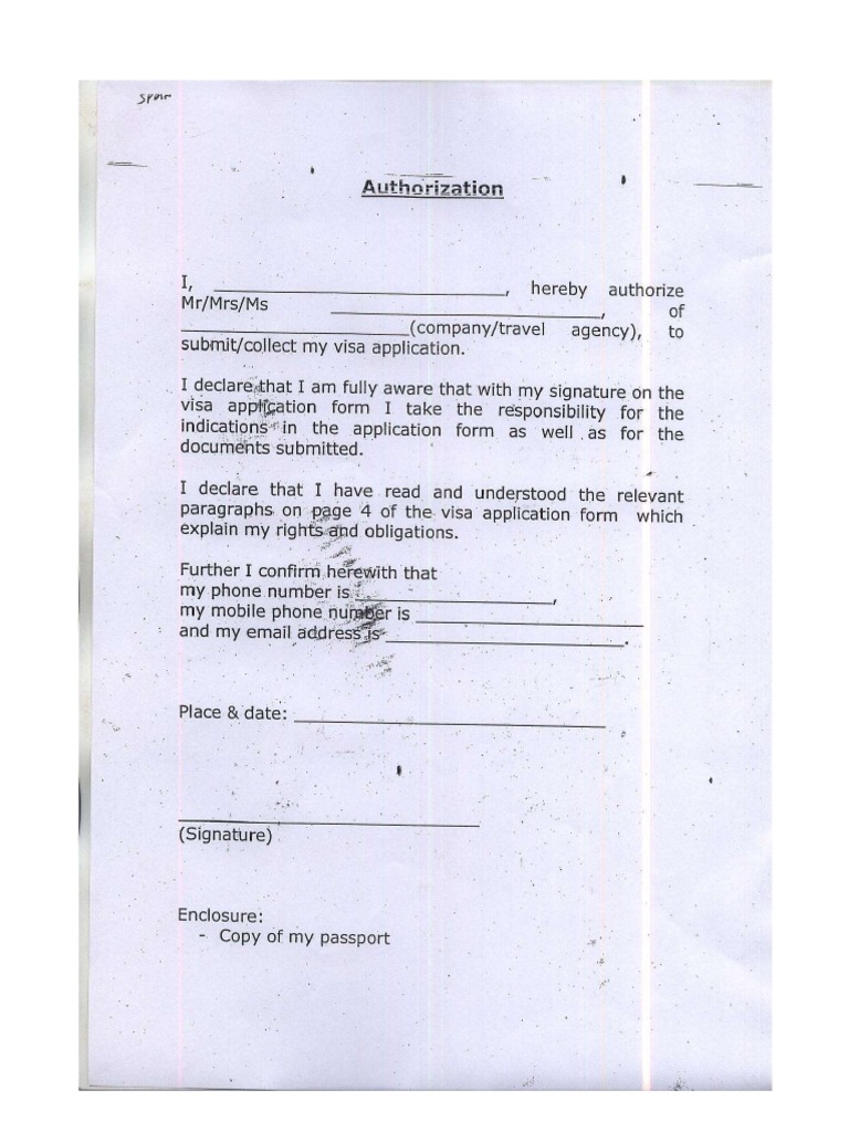 Undertaking Form - Spain | PDF