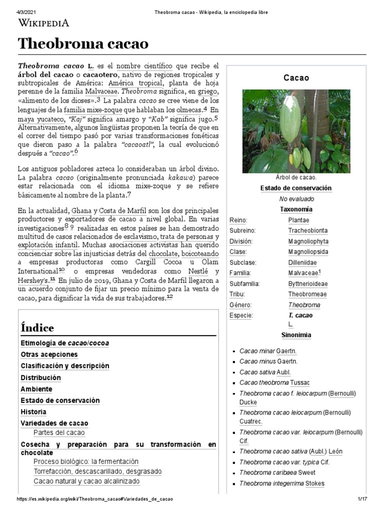 Theobroma Cacao | PDF | Chocolate