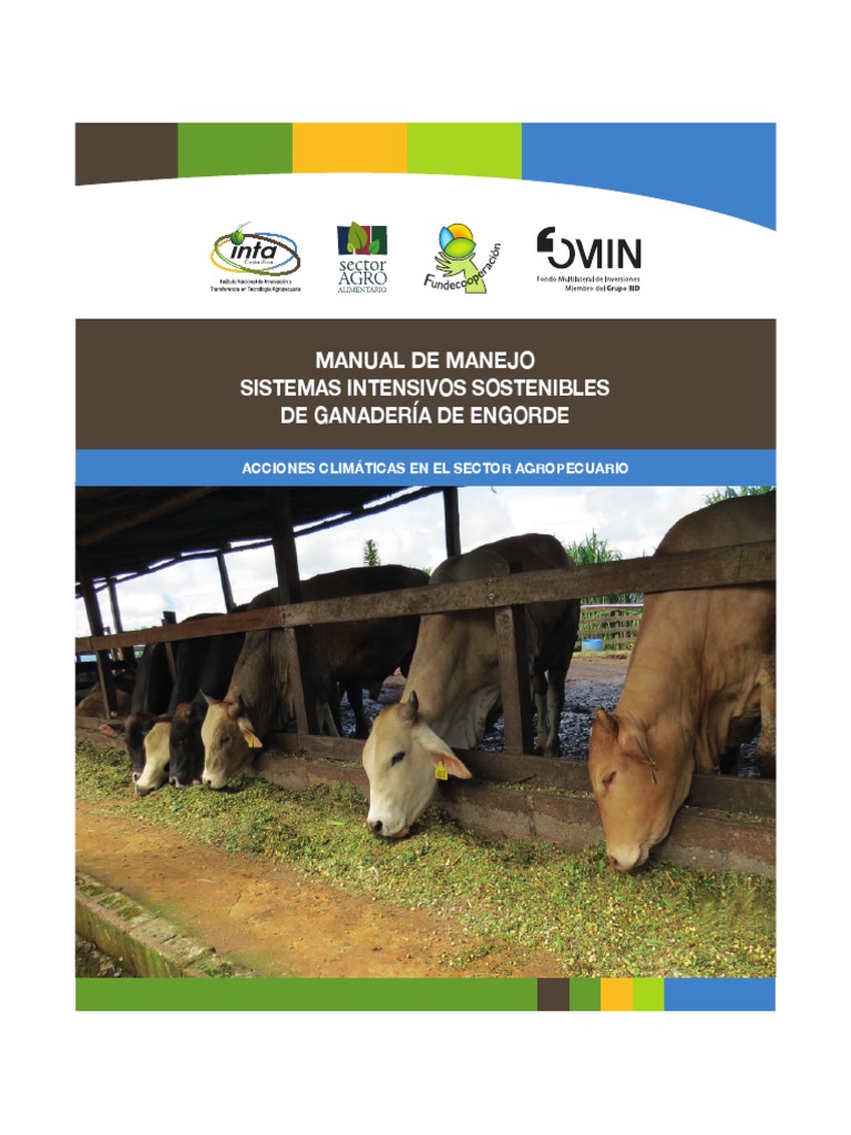 MAG - Manejo Sistemas Intensivos Ganaderia de Engorde | PDF | Pasto | Carne