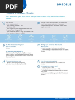 Amadeus Ticketing: Cryptic Commands Guide | PDF | Software | Computing