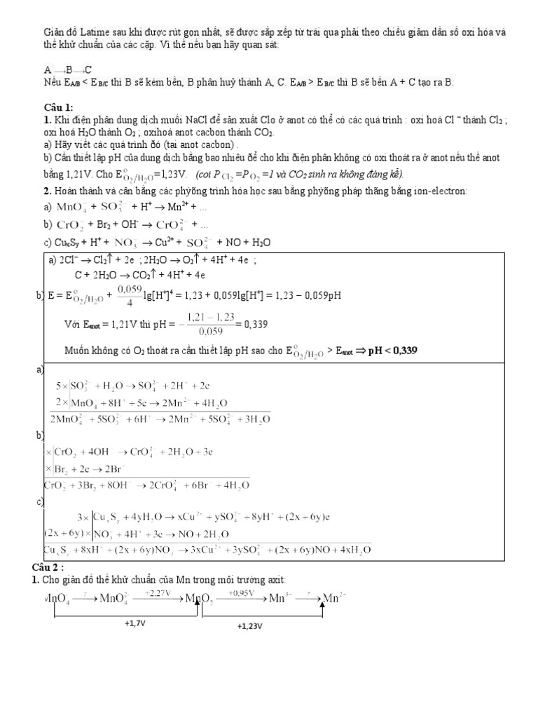 Pin điện HSG | PDF