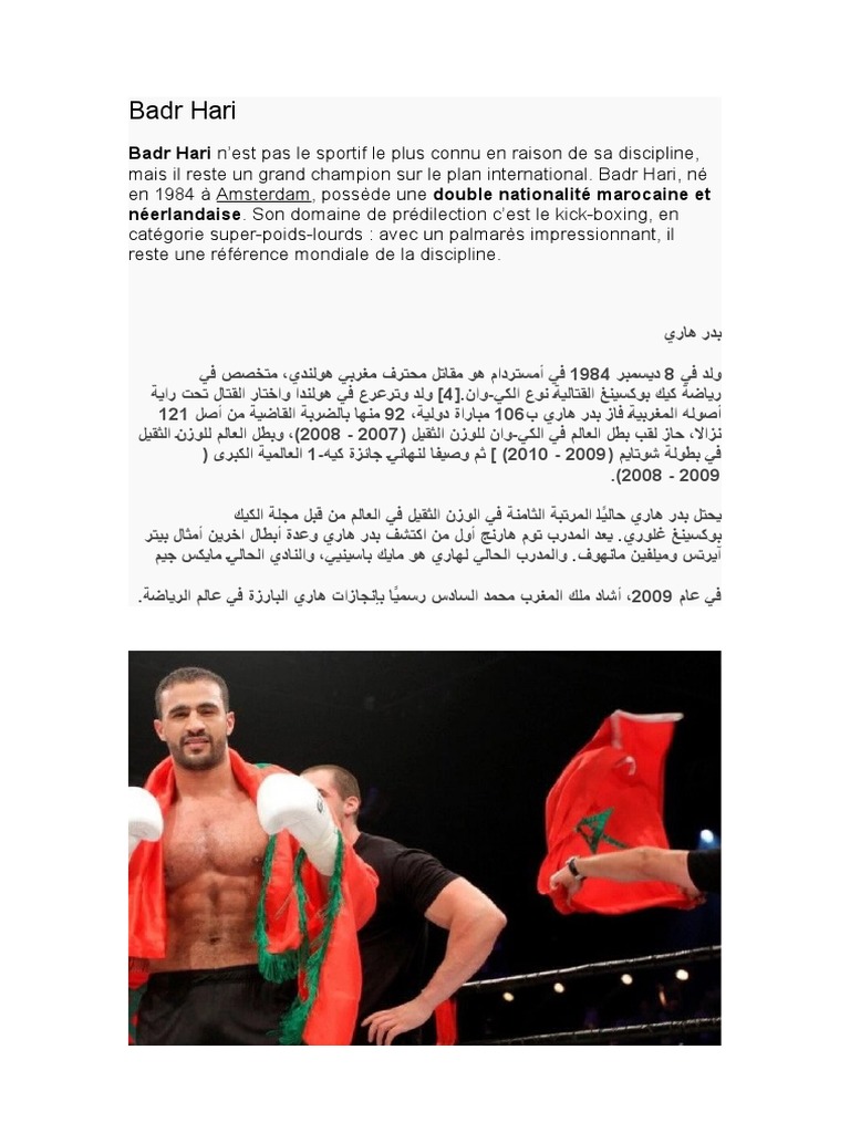 Badr Hari | PDF