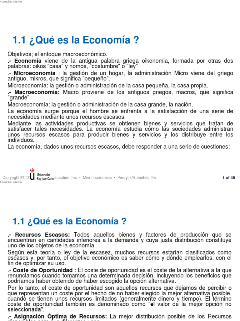 T1 Demanda y Oferta Nociones Básicas | PDF | Oferta (economía) | Elasticidad (economía)