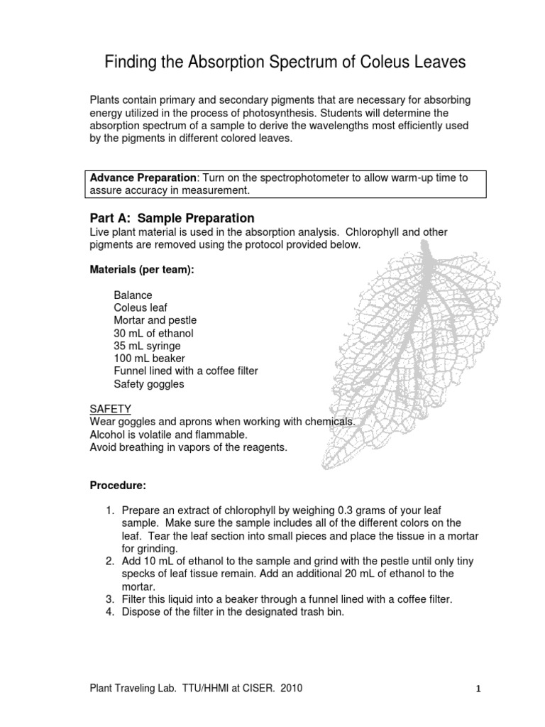 Finding The Absorption Spectrum of Coleus Leaves | PDF | Leaf | Color