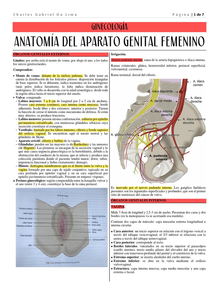 Anatomía del Aparato Genital Femenino | PDF | Vagina | Ovario