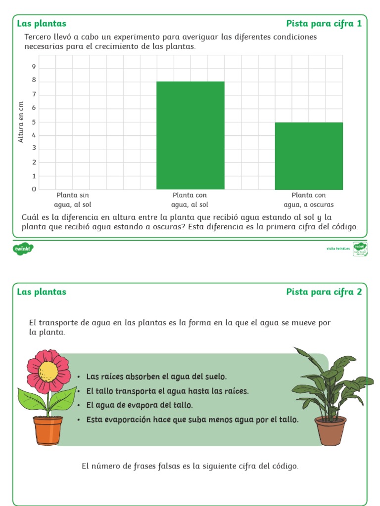 Tarjetas de Pistas Escape Room Las Plantas | PDF | Flores | Ramas de la ...