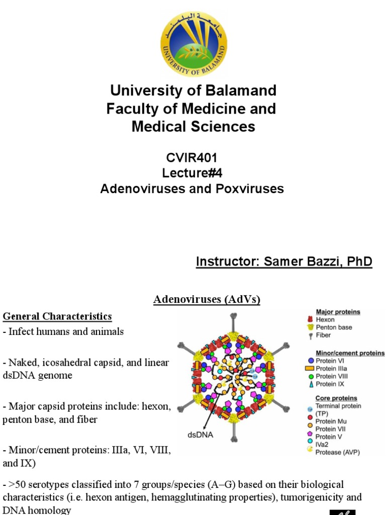 Lecture 4 - Adenoviruses & Poxviruses | PDF | Adenoviridae | Smallpox