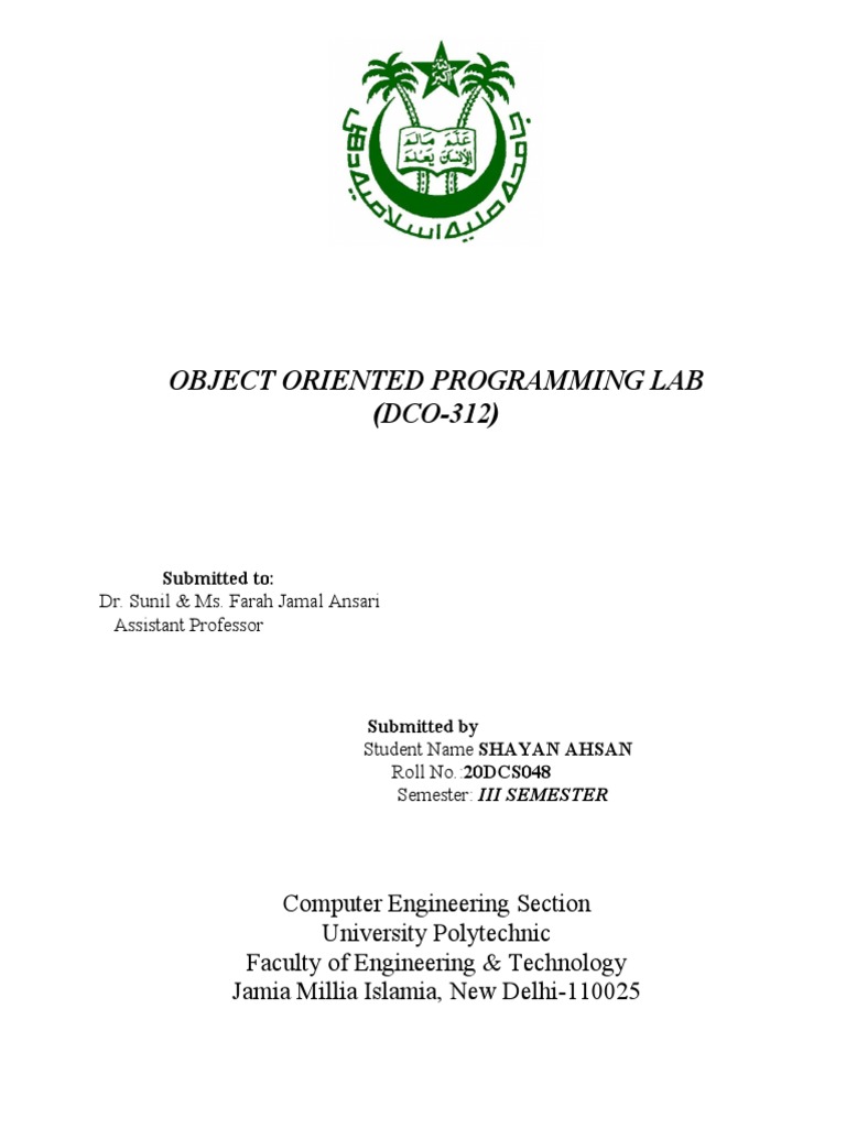 Dco 312 Practical File10 Pdf C Inheritance Object Oriented Programming 