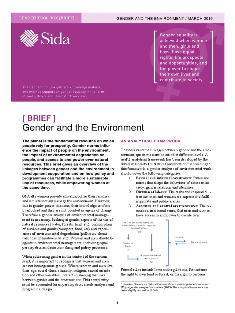 BRIEF Gender and Environment | PDF | Sustainability | Gender