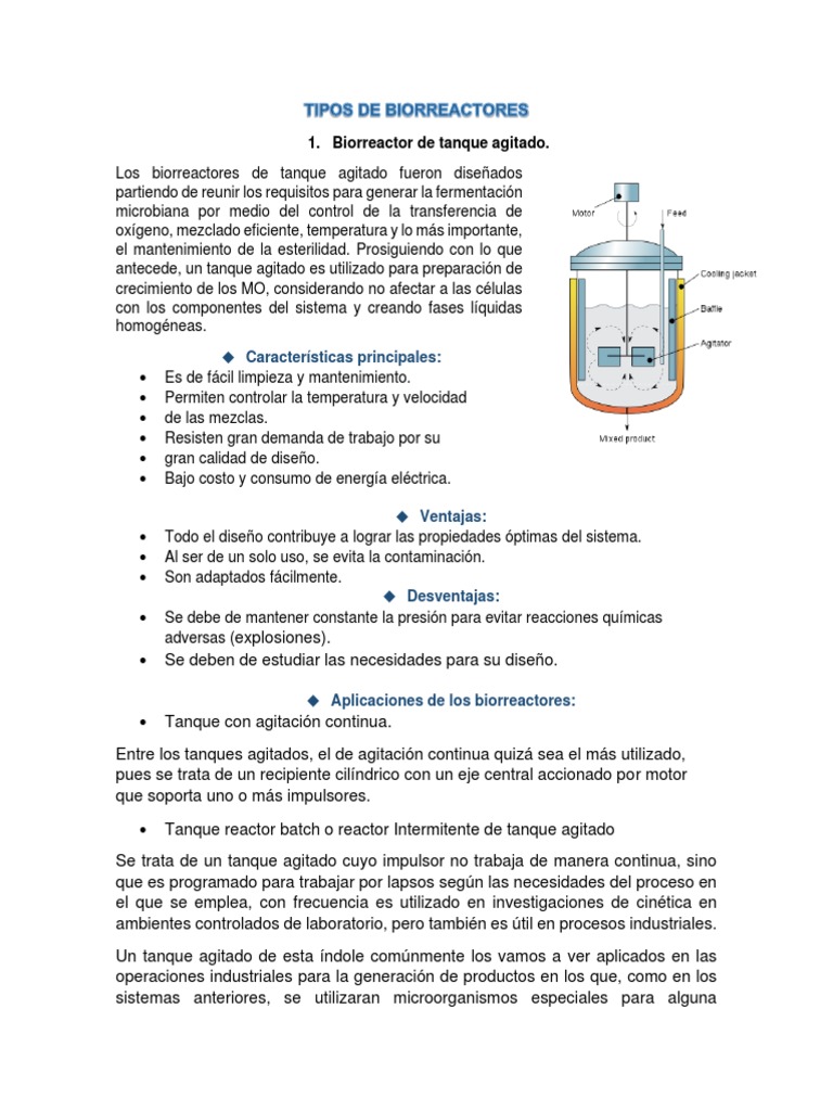 Tipos de Biorreactores | PDF | Reactor Quimico | Naturaleza