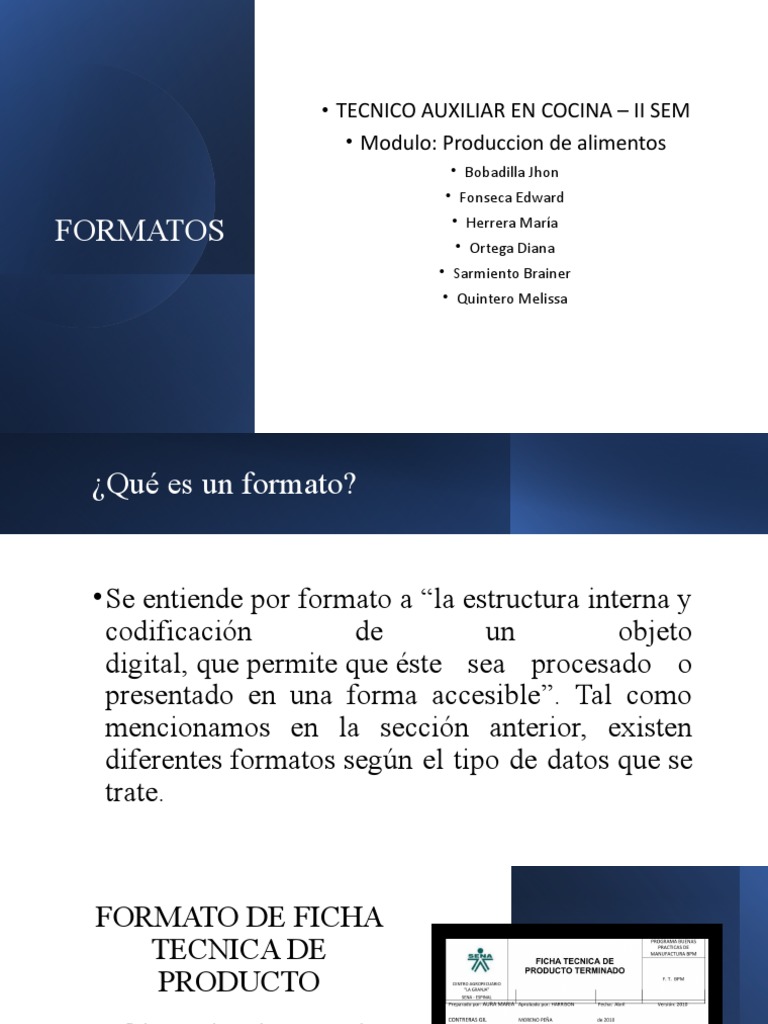 Formatos Grupo 1 | PDF | Costo | Precios