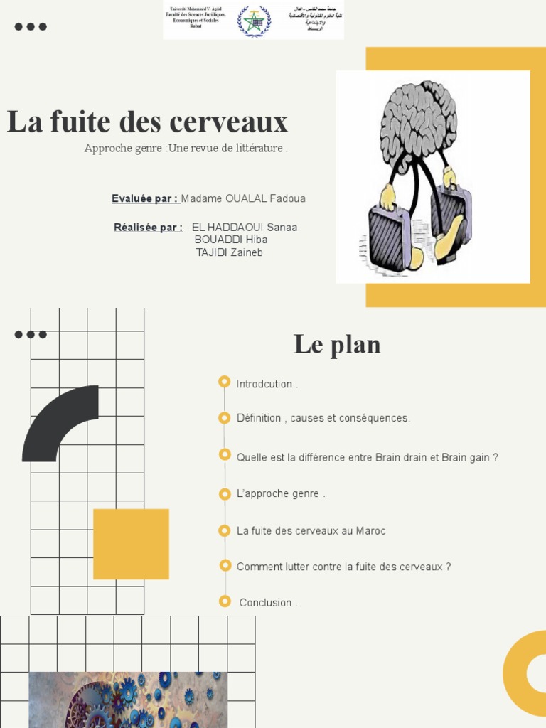 Fuite des cerveaux : causes et enjeux | PDF | Fuite des cerveaux ...