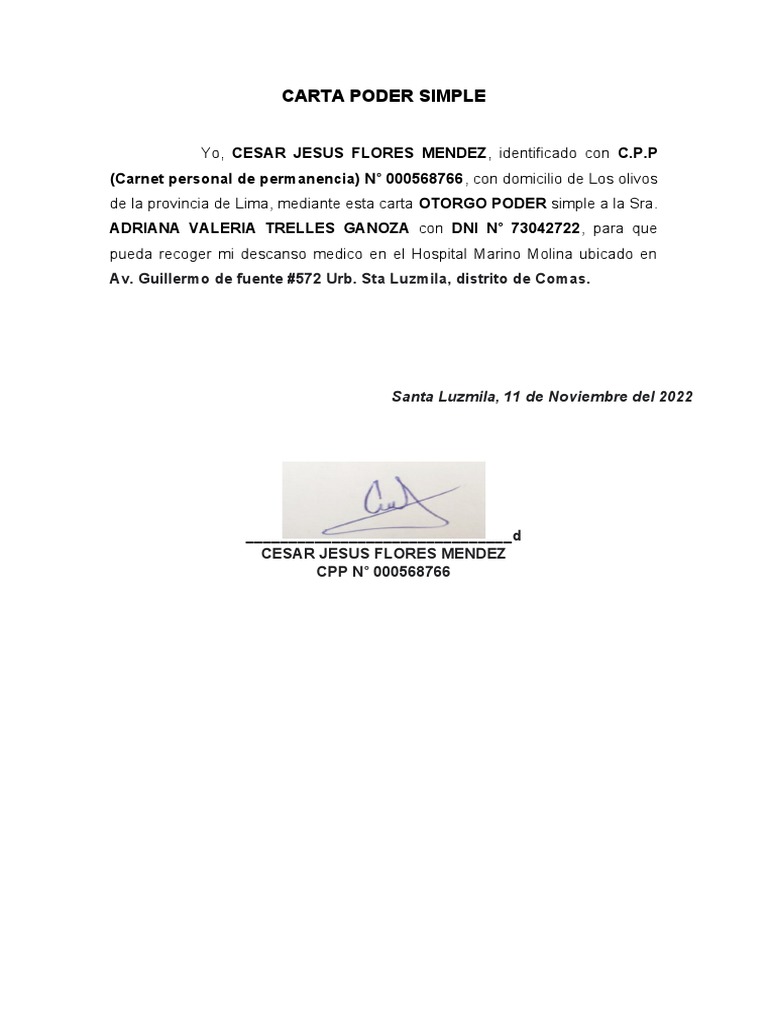 Carta Poder Simple | PDF