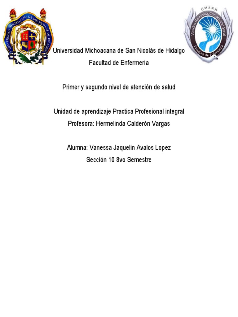 Vanessa - Avalos - NIVELES DE ATENCION DE ENFERMERIA - 017.05.21 | PDF ...