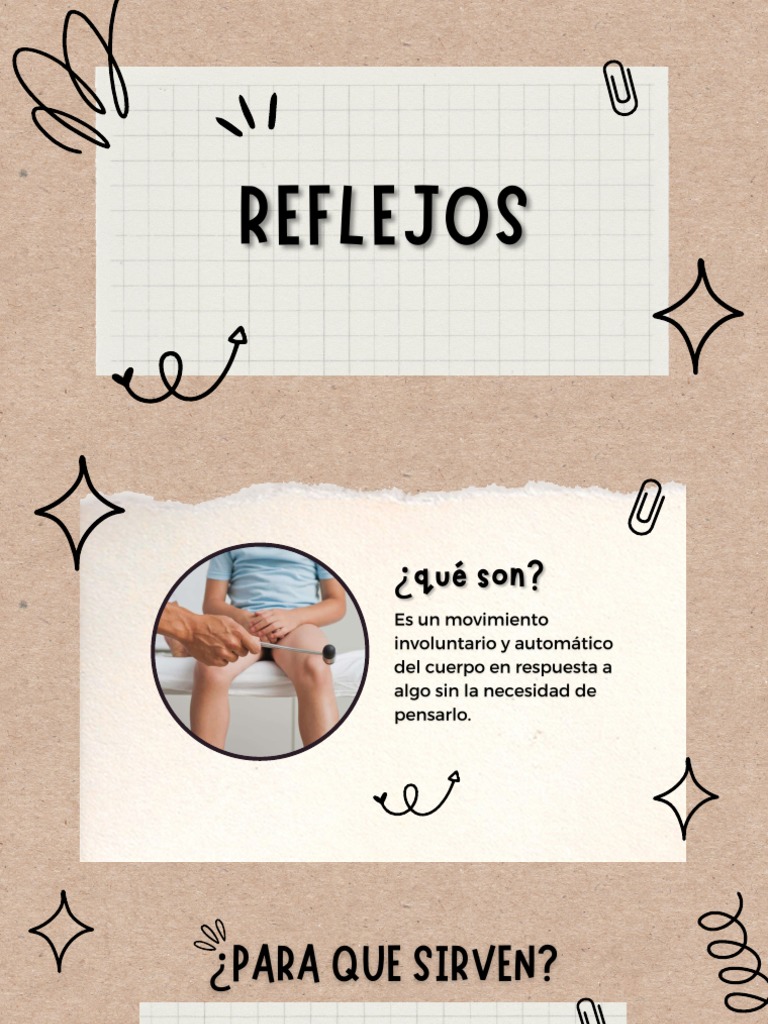 10 Ejemplos de Reflejos Humanos | PDF