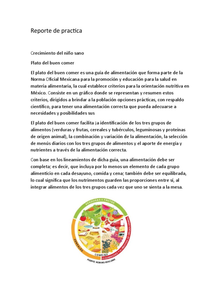 Reporte Del Plato Del Buen Comer | PDF | Alimentos | Nutrientes