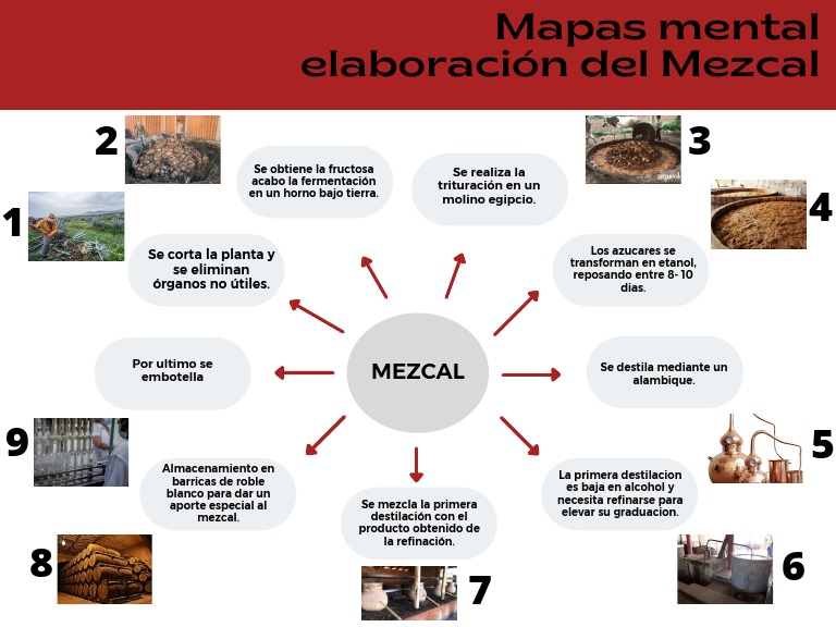 Proceso Elaboracion Del Mezcal | PDF