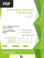 Itsmo de Las Fauces | PDF | Sistema musculoesquelético | Anatomía