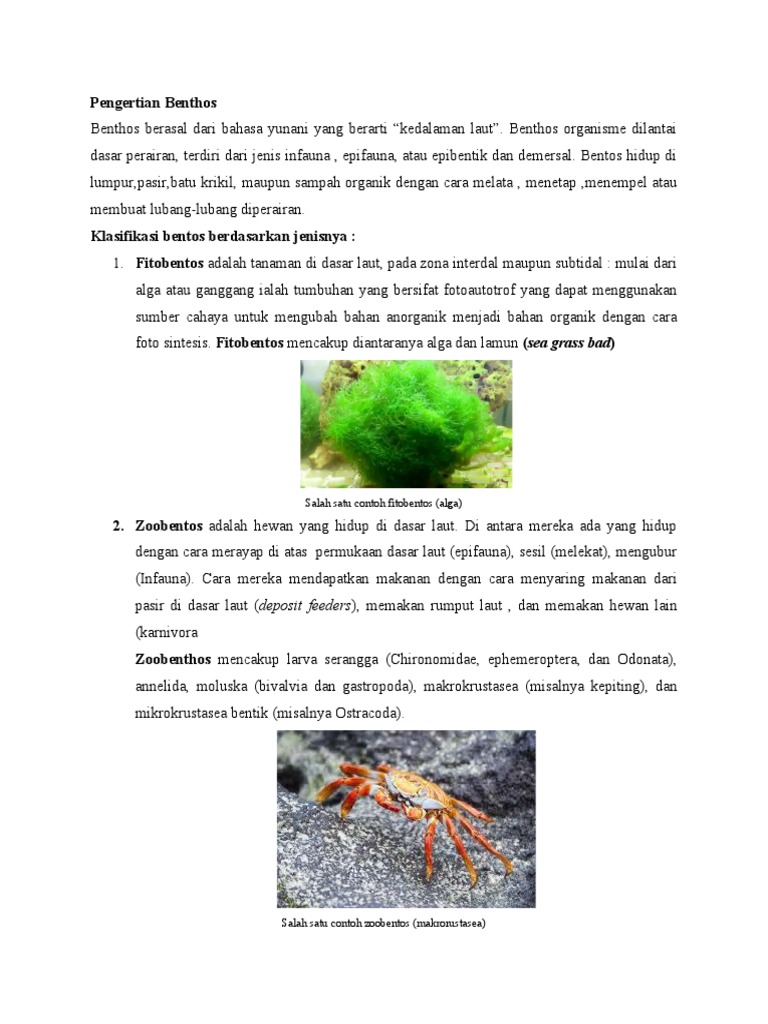 Pengertian Benthos | PDF | Sains & Matematika