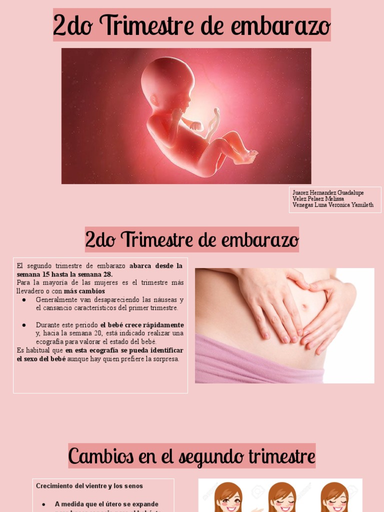 Cambios en el Segundo Trimestre de Embarazo | PDF | El embarazo ...