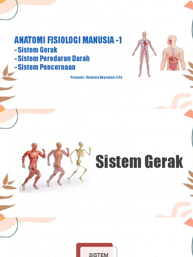 Anatomi Fisiologi Tubuh Manusia | PDF