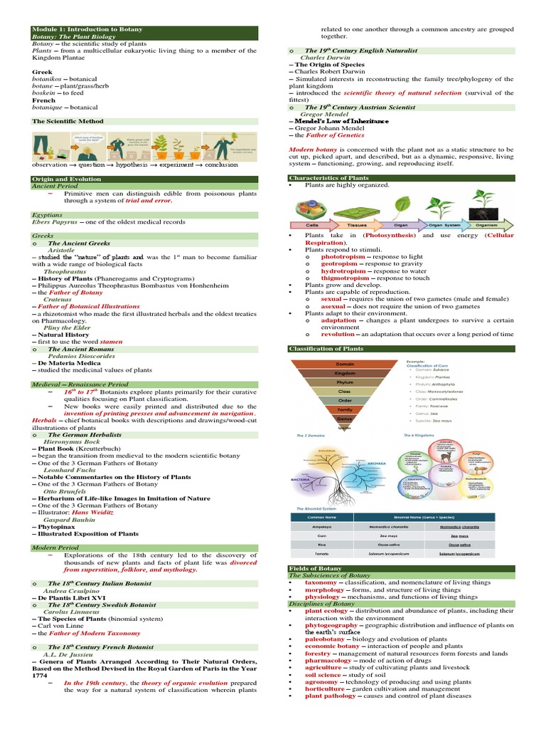Pharmaceutical Botany and Taxonomy M1-M5 | PDF | Plant Stem | Root