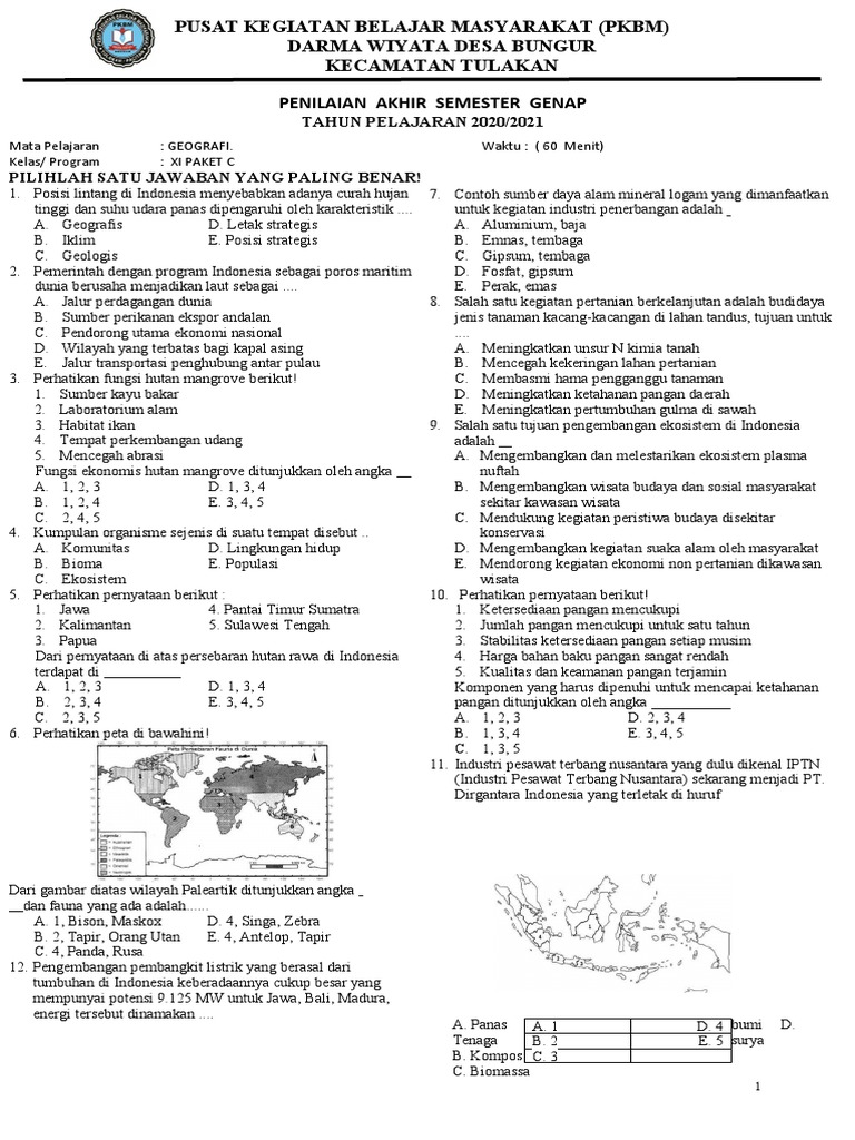 08 Naskah Soal PAT Geografi XI | PDF