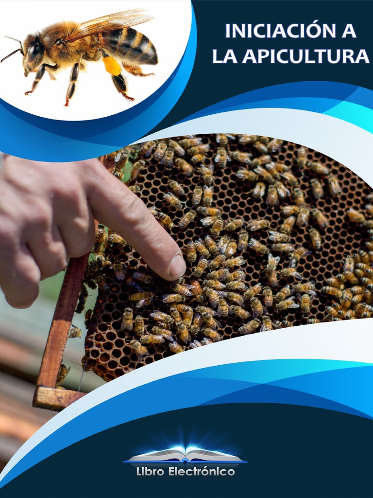 Iniciación A La Apicultura | PDF | Western Honey Bee | Apicultura Iniciación A La Apicultura | PDF | Western Honey Bee | Apicultura