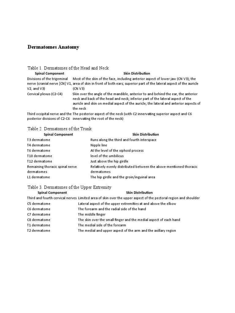 Dermatomes Anatomy | Download Free PDF | Anatomical Terms Of Location ...