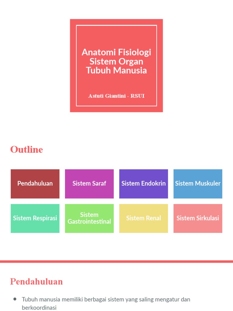 Anatomi Fisiologi | PDF | Memasak, Makanan, & Anggur | Kesehatan Holistik