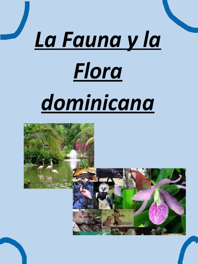La Fauna y La Flora Dominicana | PDF | Organismos